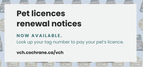 Annual animal licence renewals available now | Town of Cochrane