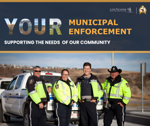 Connecting residents with Municipal Enforcement at the SLS Centre ...